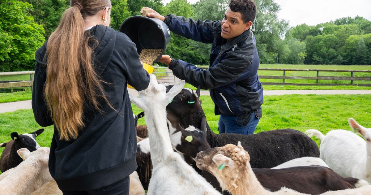 Wat is een taakstraf? | Raad voor de Kinderbescherming